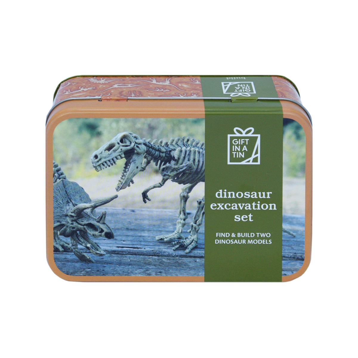 Dinosaur Excavation Set – Emporium